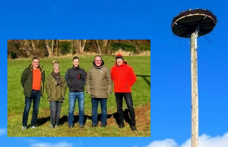 Störche willkommen: Asterode lockt sie mit einem Nest :: SEK-News ...