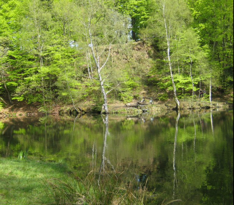 Geführte Wanderungen rund um Melsungen :: SEK-News – Online-Zeitung für ...